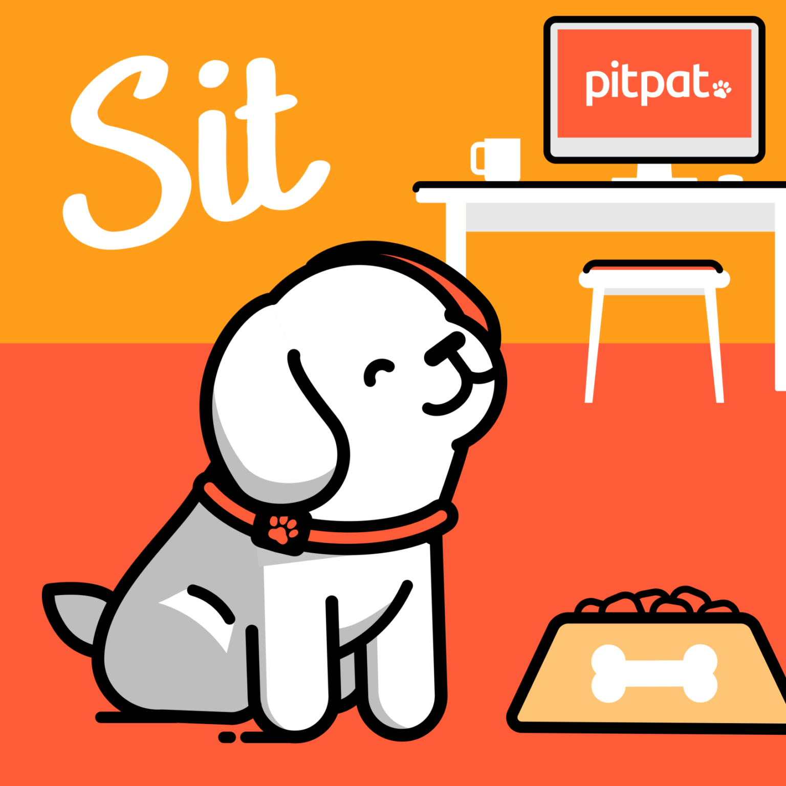 10 ways to exercise your dog indoors - PitPat