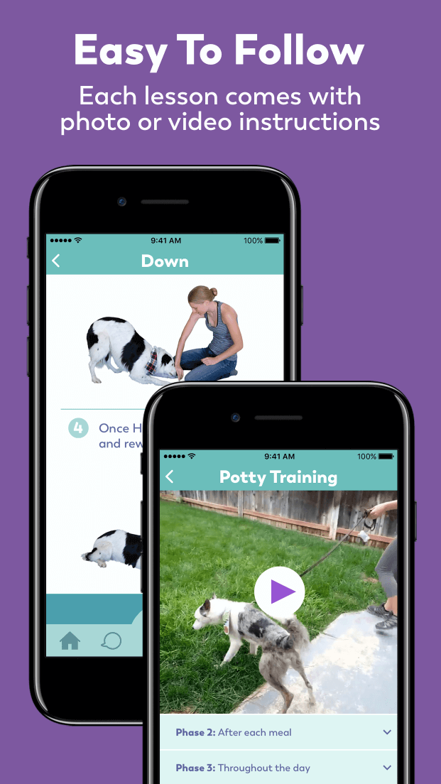 Top 5 apps for your dog - PitPat