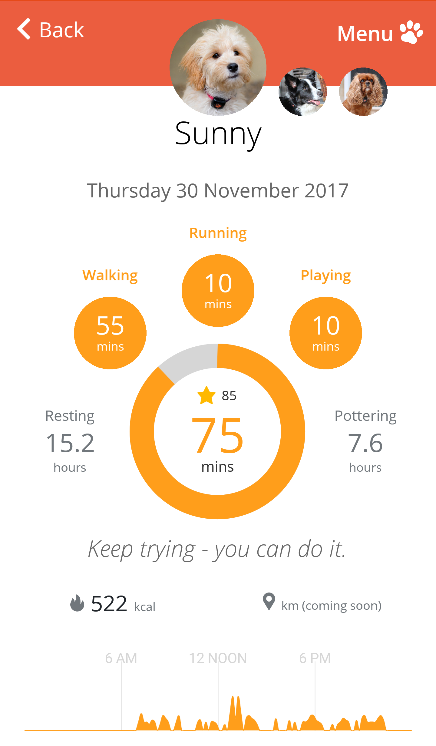 How many calories does my dog need? | PitPat