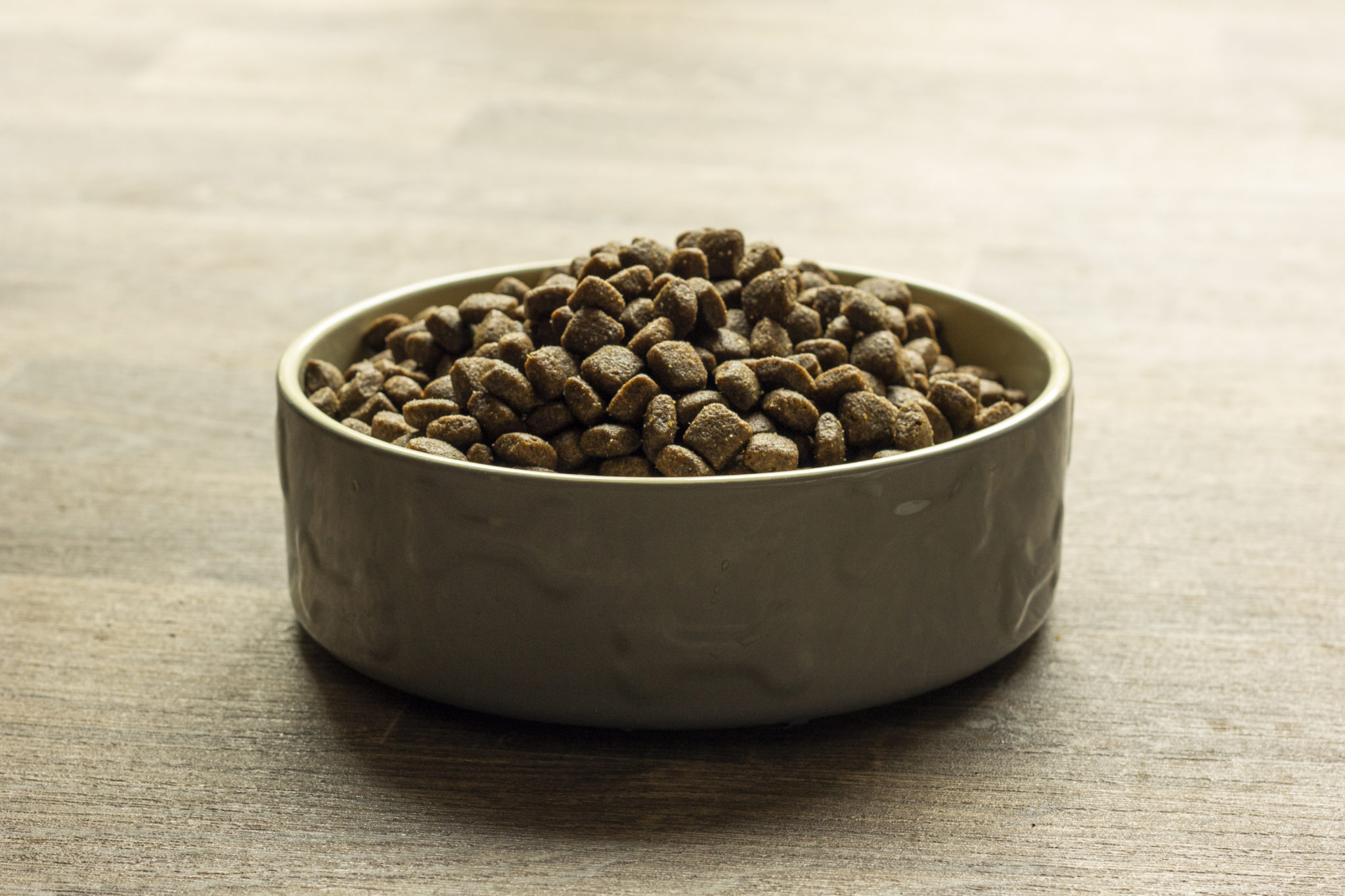 What is ‘Ash’ in dog food? | PitPat