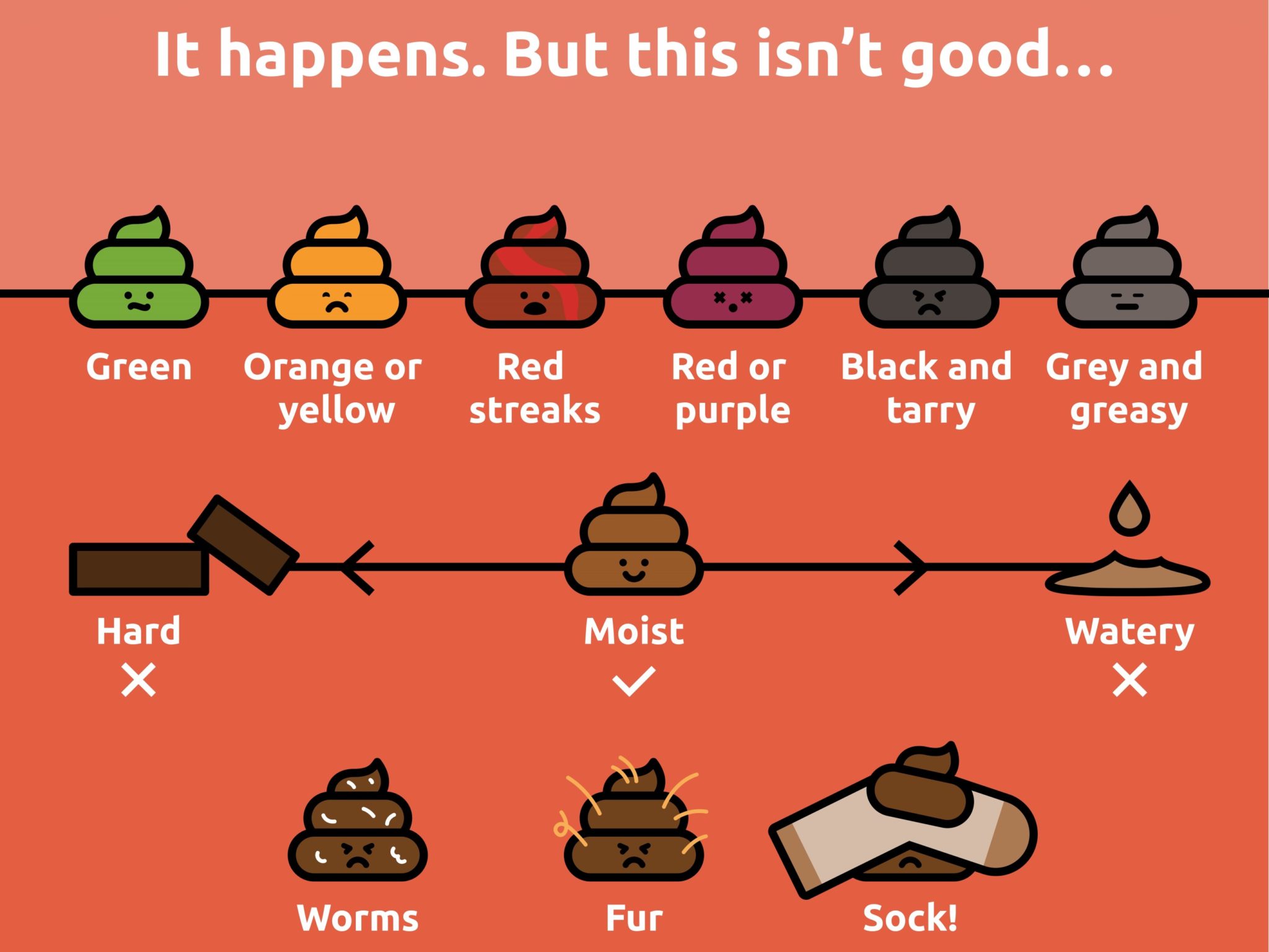 What should my dog's poo look like? - PitPat