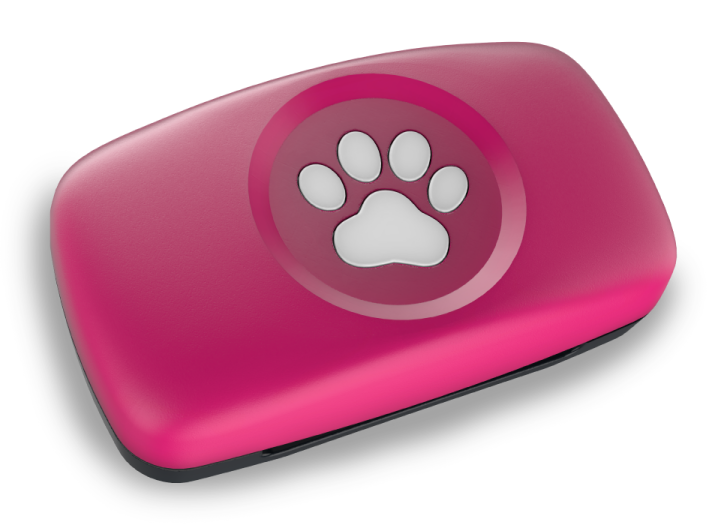 PitPat Dog GPS Tracker With No Subscription - PitPat