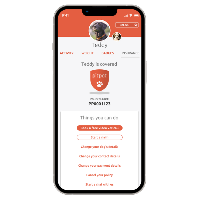 PitPat | Dog GPS Trackers and Dog Activity Monitors | Dog Health Platform