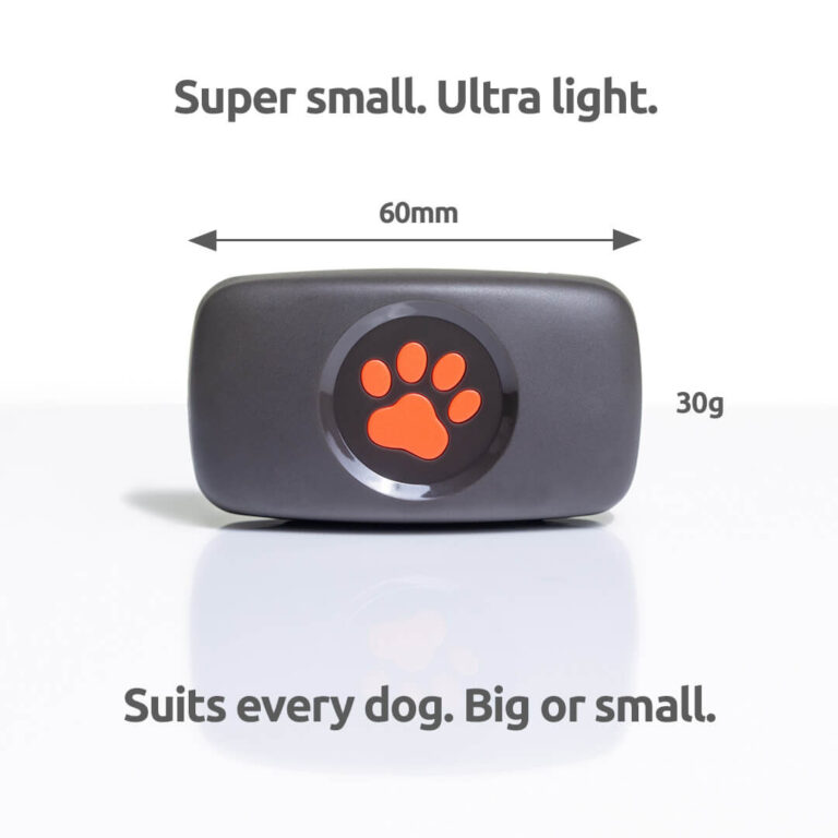 PitPat Dog GPS Tracker With No Subscription - PitPat