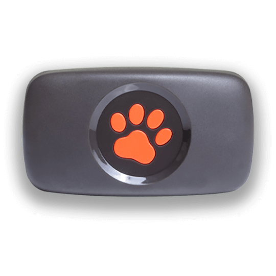 PitPat | Dog GPS Trackers and Dog Activity Monitors | Dog Health Platform
