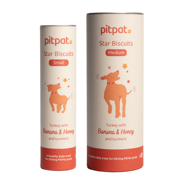 PitPat | Dog GPS Trackers and Dog Activity Monitors | Dog Health Platform