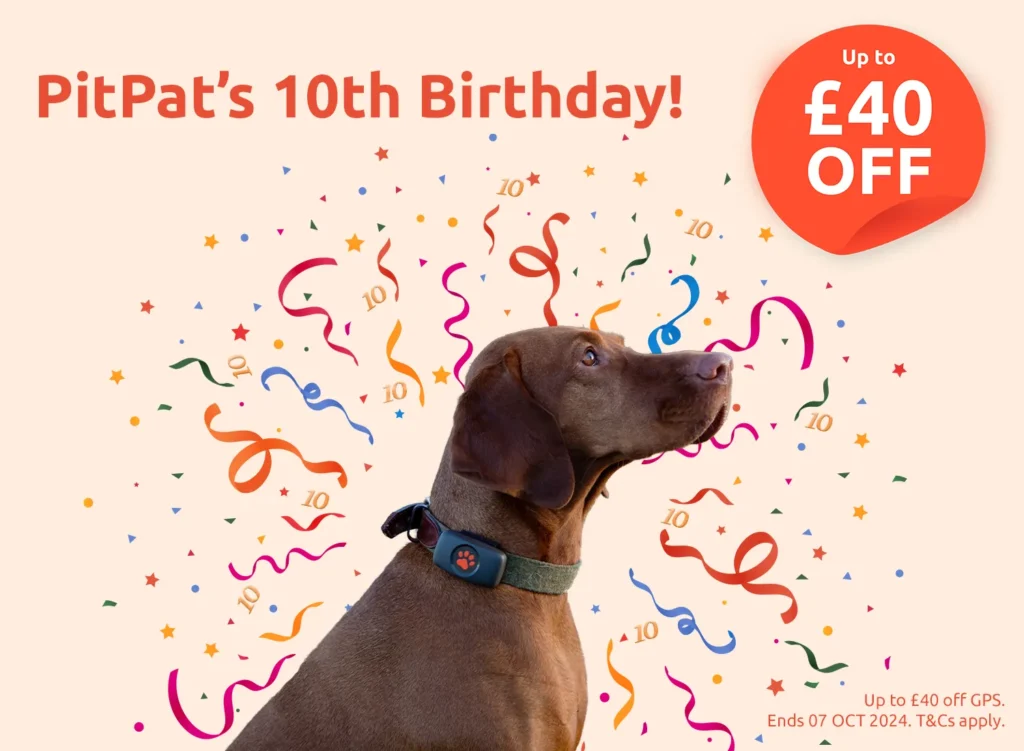 PitPat | Dog GPS Trackers and Dog Activity Monitors | Dog Health Platform